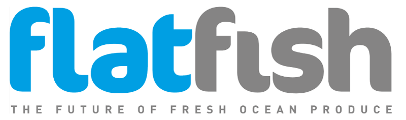 flatfish fish ltd